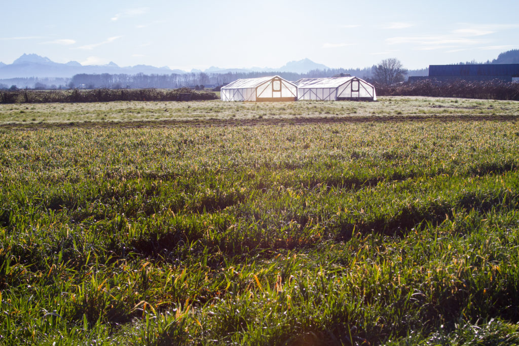 Farms as Whole Ecosystems - Floodplains by Design